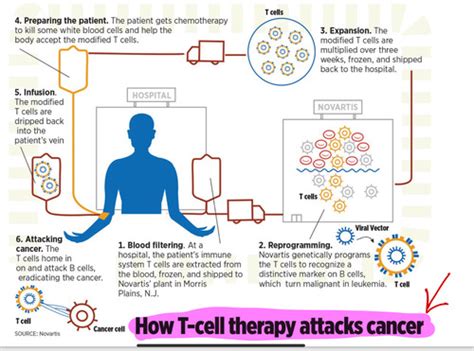 Dsa 5 Recombination Dna Molecular Med Flashcards Quizlet