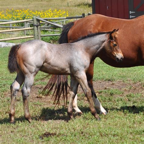 Vs Code Red Home Facebook