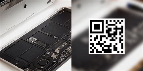 Different Types Of Qr Codes Definition And Use Cases Free Custom Qr