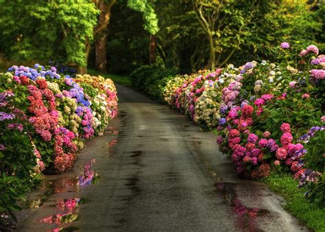 Paisajes Imagenes Primaverales Para Fondo De Pantalla