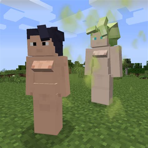 Dragon Block C Texture Pack Nsfw Misc Loverslab