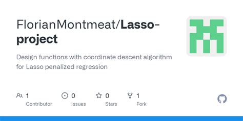 Github Florianmontmeatlasso Project Design Functions With