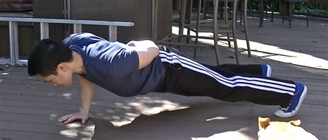 The Push Up Tutorials And Progressions Roam Strong