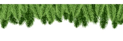 Branch Border Vector Images Over