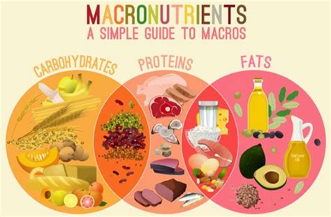 What Are Macros And Why Do They Matter