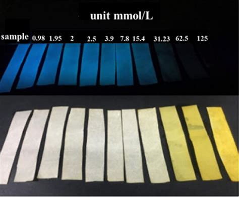 Paper Based Sensing Obtained From Ns Bcds For The Detection Of