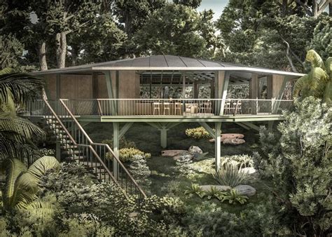 Gallery Of Stilt House And Tree House Modern Design Tropical Houses