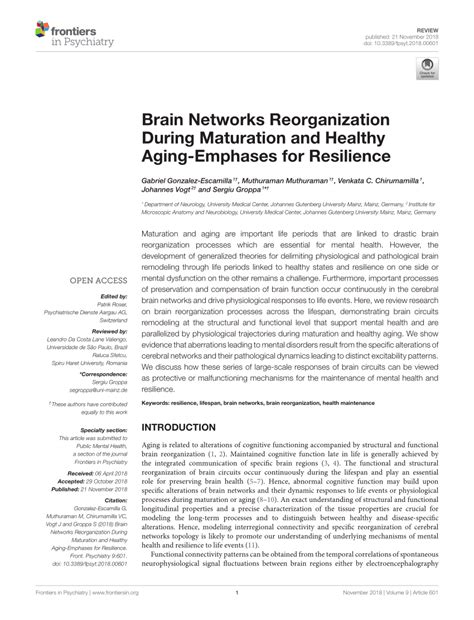 Pdf Brain Networks Reorganization During Maturation And Healthy Aging