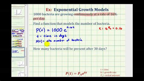 Exponential Bacterial Growth Formula