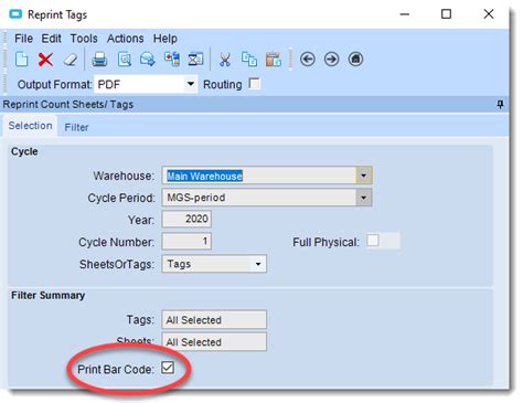 Standard Epicor Report Parameters To SSRS Output Epicor ERP Epicor User Help Forum
