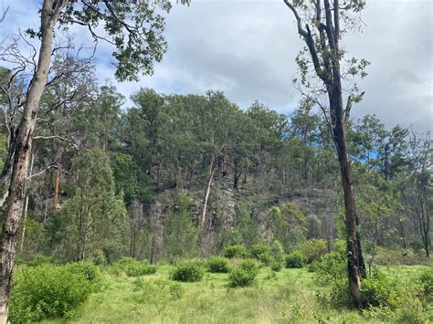 What Is An Ecological Assessment Report New Ground Expert Environmental Consultants In