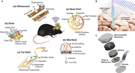Principles And Advancements Of Microelectrode Arrays In Brain Machine Interfaces Intechopen