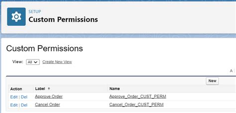 Salesforce Custom Permissions