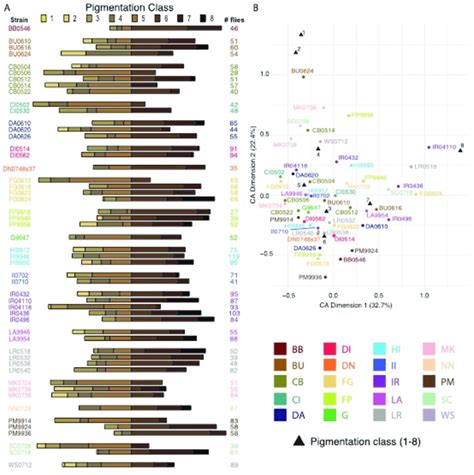 Distributions Of Backcross Phenotypes Indicate Diversity In Number And Download Scientific