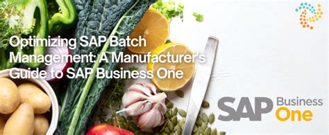 optimizing sap batch management for manufacturers
