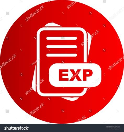 Exp File Format Icon For Your Project