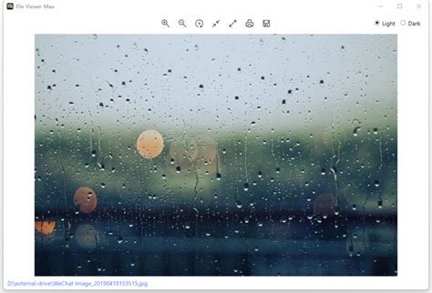 File Viewer Max Online Tutorial Page Xiaoya S Lab