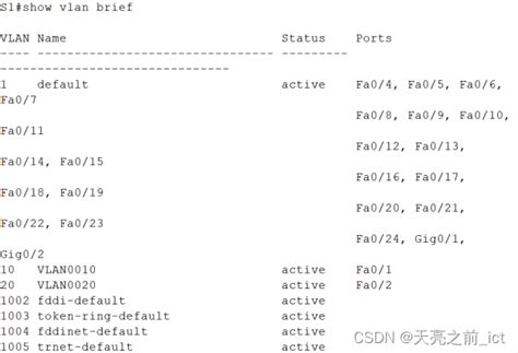 【路由与交换】基于思科模拟器的路由与交换实训报告（单臂路由、三层交换机实现vlan通信、ospf、rip、dhcp、acl、nat技术总结