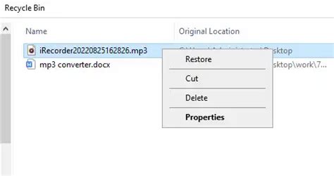 How To Restore Audio Files On Android And Windows Workintool