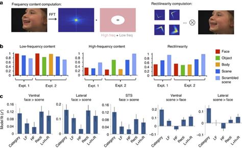Organization Of High Level Visual Cortex In Human Infants Abstract