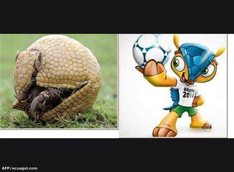Un Armadillo En Peligro De Extinción La Mascota Del Mundial Brasil