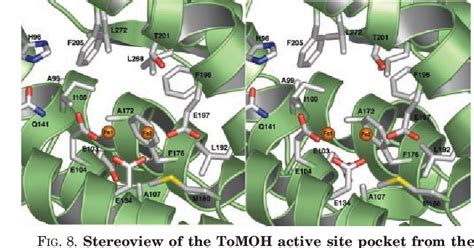 Figure 2 From Crystal Structure Of The Toluene O Xylene Monooxygenase