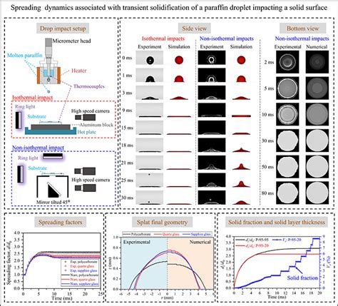 Transient Solidification Dynamics Of Molten Droplets Impacts Of