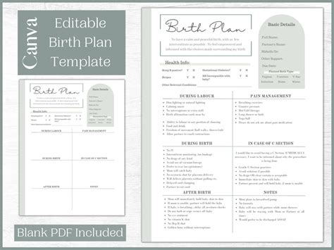 Editable Birth Plan Template Printable Birthing Plan Labour And Delivery Preferences