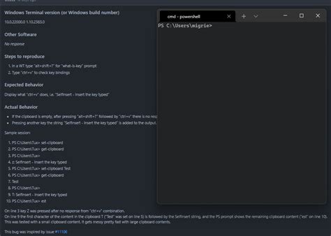 Ctrl V Inserts Clipboard Content Instead Of Showing Key Bindings