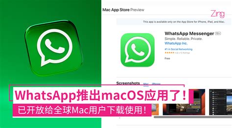 Whatsapp正式推出macos应用！现开放全球mac用户下载使用！ Zing Gadget