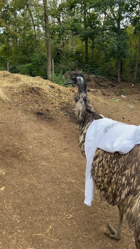 Its Going To Be A No For Michael But Theyre Up ️ Dont Feel Any Obligation But Theyre Uppppp