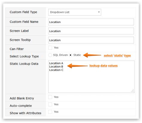 Static Custom Field Lookup Gemini Documentation
