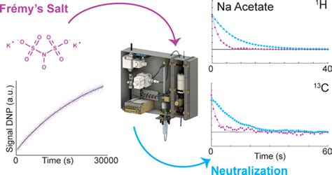 Frémys Salt As A Low Persistence Hyperpolarization Agent Efficient Dynamic Nuclear