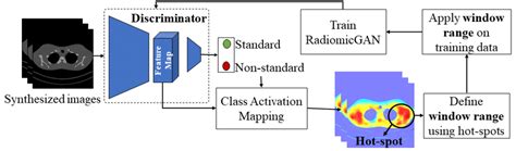 Dynamic Selection Framework Given A Set Of CT Images Synthesized By