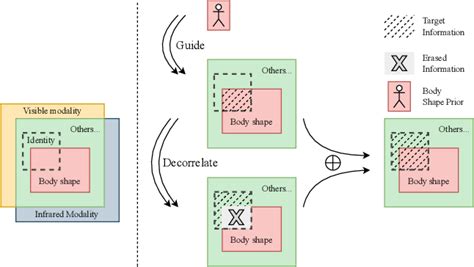 Figure 1 From Shape Erased Feature Learning For Visible Infrared Person Re Identification