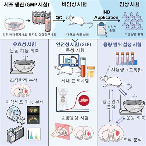 메디포뉴스