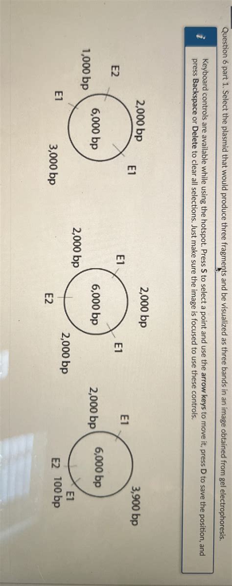 Question 6 ﻿part 1 ﻿select The Plasmid That Would