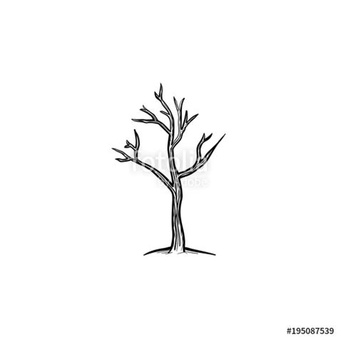 Tree Outline Sketch At PaintingValley Com Explore Collection Of Tree