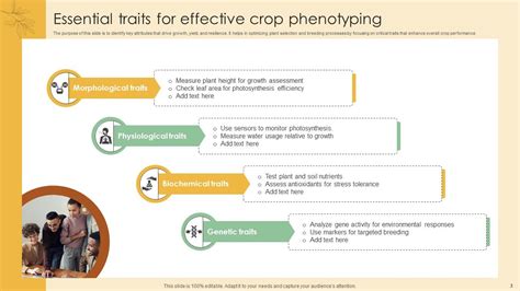 Crop Phenotyping Powerpoint Template Bundles Ppt Presentation PPT Sample