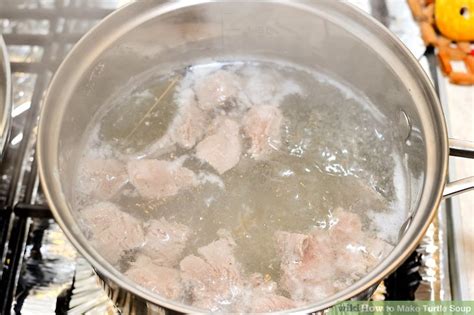 How To Make Turtle Soup Steps With Pictures WikiHow Life