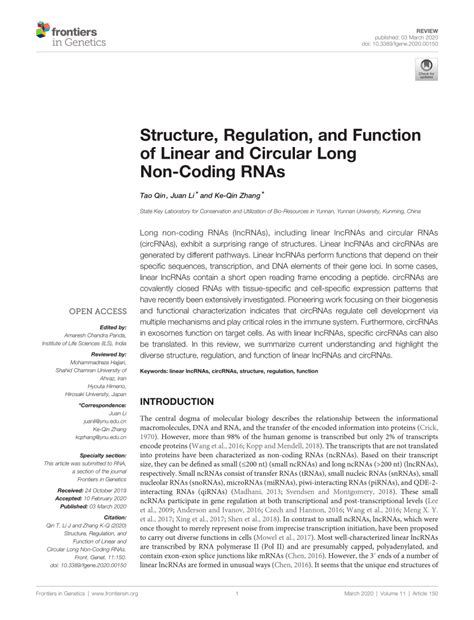 Pdf Structure Regulation And Function Of Linear And Circular Long Non Coding Rnas
