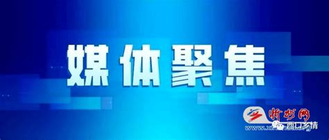 媒体看河曲河曲卖粮农民爱上手机开票 村民 开发票 App