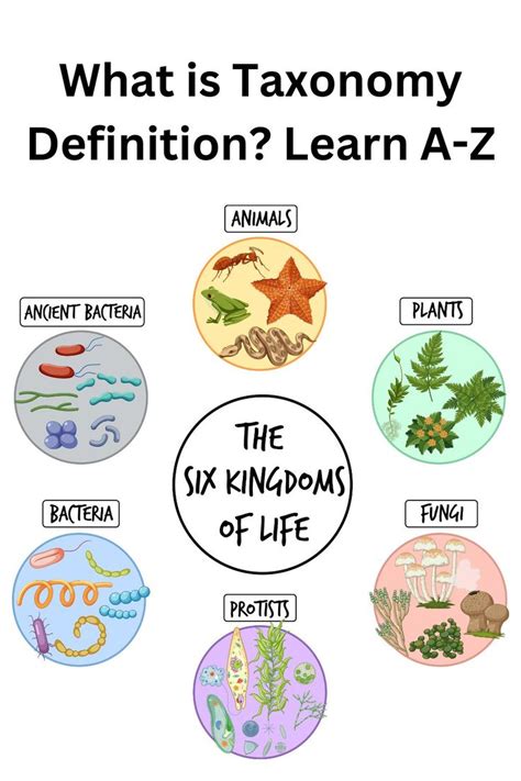 What Is Taxonomy Definition Learn A Z In 2025 Taxonomy Taxonomy