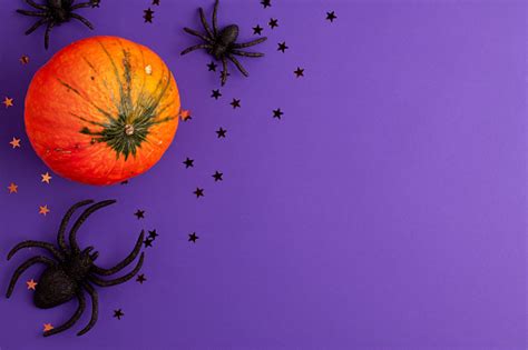 장식 오렌지 작은 할로윈 호박 템플릿 스타 모양과 왼쪽에 활기찬 보라색 배경에 검은 공포 거미의 평평한 평지와 복사 공간 휴일
