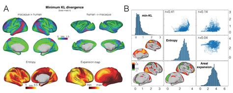 Figures And Data In Whole Brain Comparative Anatomy Using Connectivity