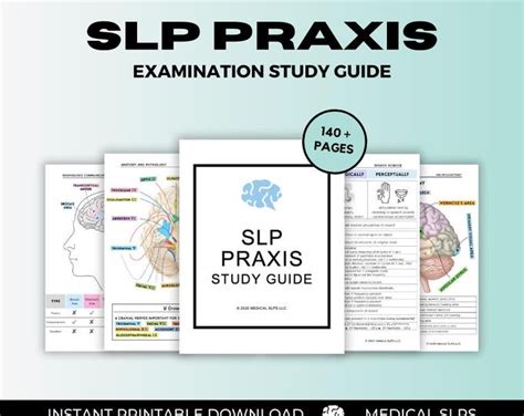 The Ultimate Snf Slp Cognitive Linguistic Binder Etsy