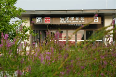 7月31日天津地铁这一站开通运营 时间 方向 车站