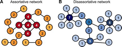 Visualization Visualising Assortativity In Networks Mathematica