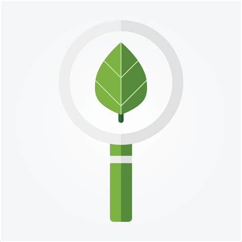 Isolated Magnifying Glass Eps 10 Vector Graphic 8653140 Vector Art At
