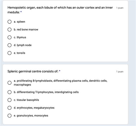 Hemopoietic Organ Each Lobule Of Which Has An Outer Cortex And An